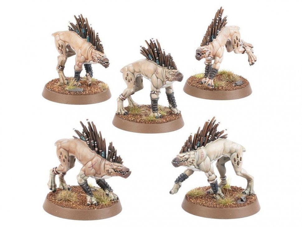 Warhammer 40.000 :: Kroot Hounds (1 литник) [40K]